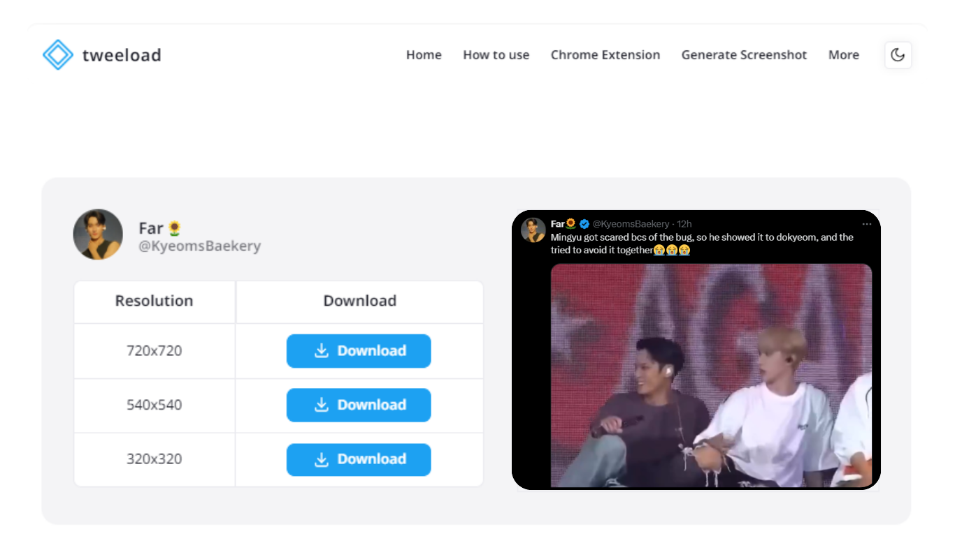 Tweeload: Download Twitter videos & GIFs from tweets