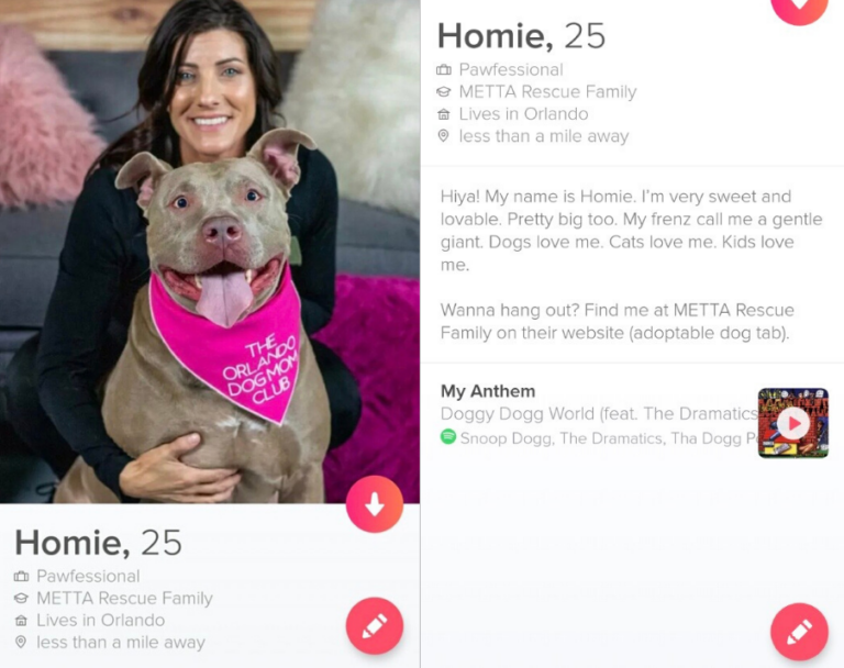Tinder Profile Templates: Your Secret to Doubling Matches