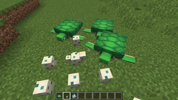 Beginner’s Guide: How to Hatch Turtle Eggs in Minecraft