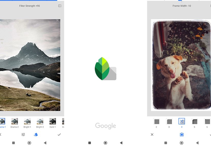 Snapseed: A Must-Have App for Every Mobile Photographer