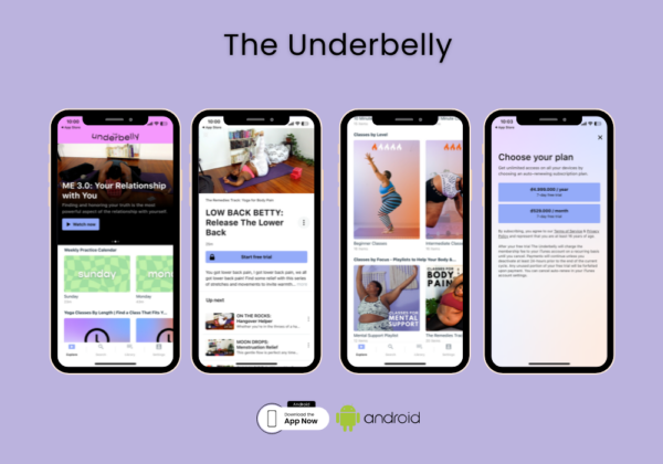 The Underbelly Review: The Best Chair Yoga App for Seniors